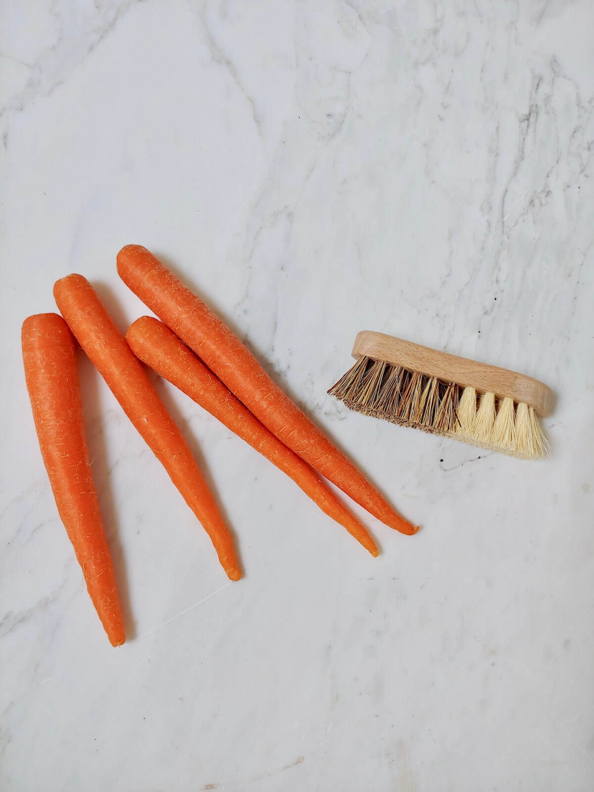 French Vegetable Brush | Perry and Carlson